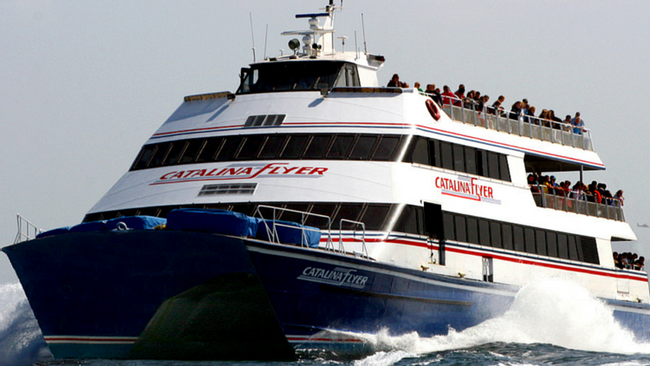 Tours & Activities | Catalina Tours